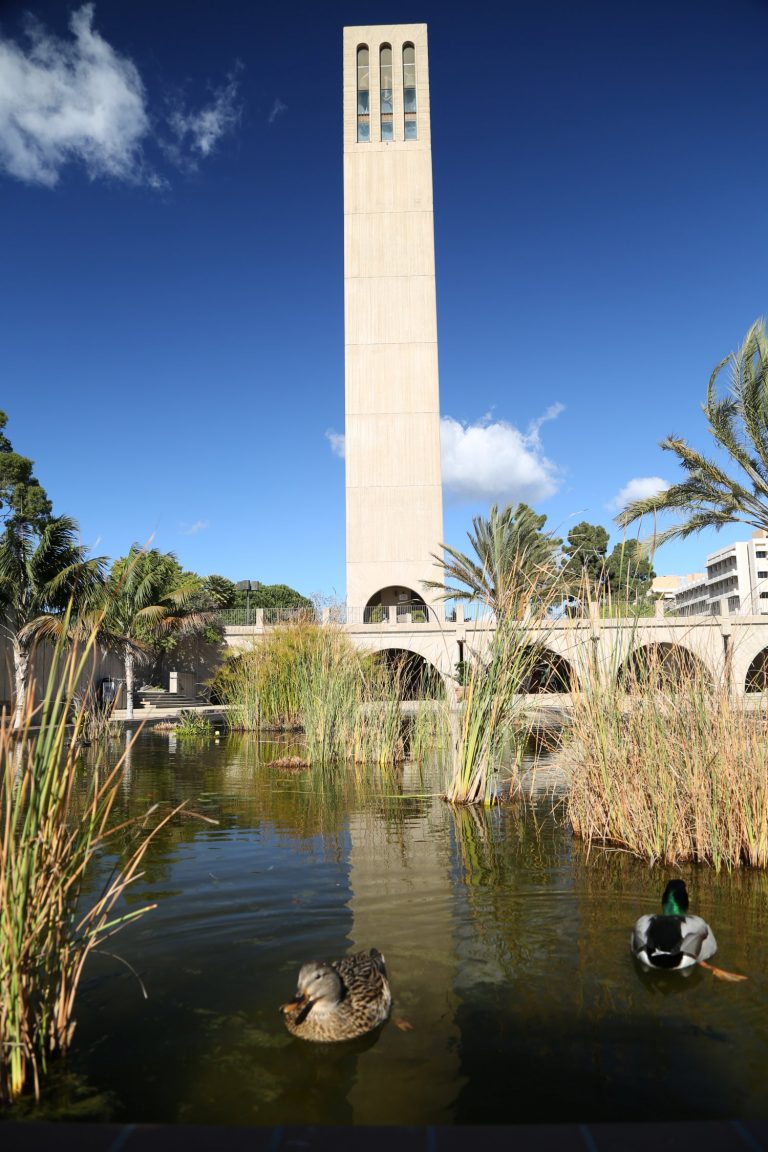 Guides - Santa Barbara, CA - UCSB - Dave's Travel Corner