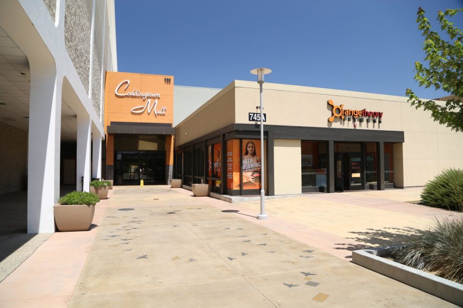 Guides - Santa Rosa, CA - Shopping - Dave's Travel Corner