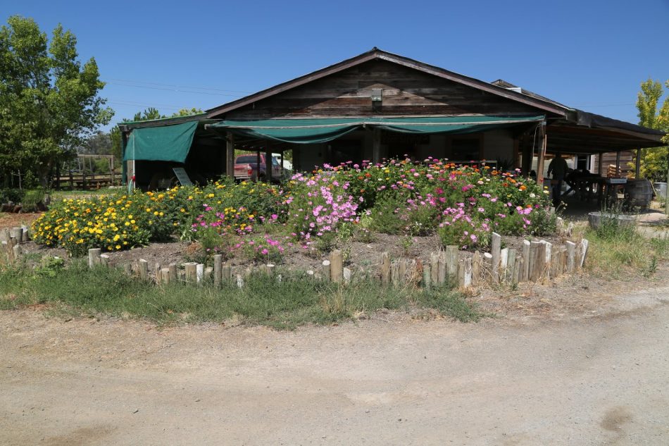Guides - Santa Rosa, CA - Farms, Markets - Dave's Travel Corner