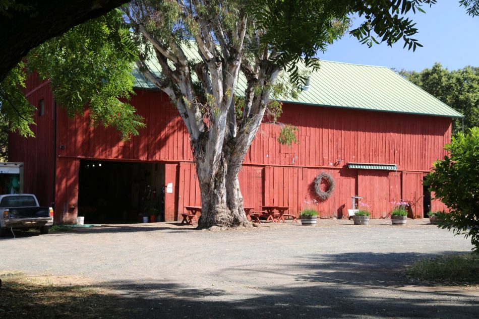 Guides - Santa Rosa, CA - Farms, Markets - Dave's Travel Corner
