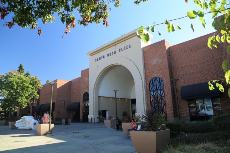 Guides - Santa Rosa, CA - Shopping - Dave's Travel Corner