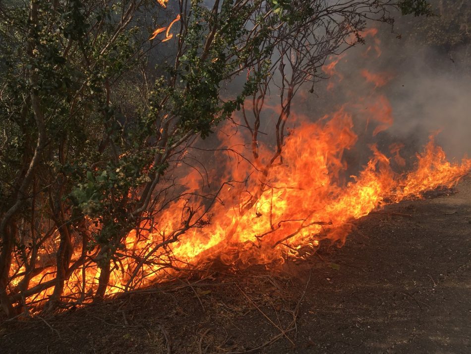 Santa Rosa, CA - Tubbs Fire October 2017 - Dave's Travel Corner