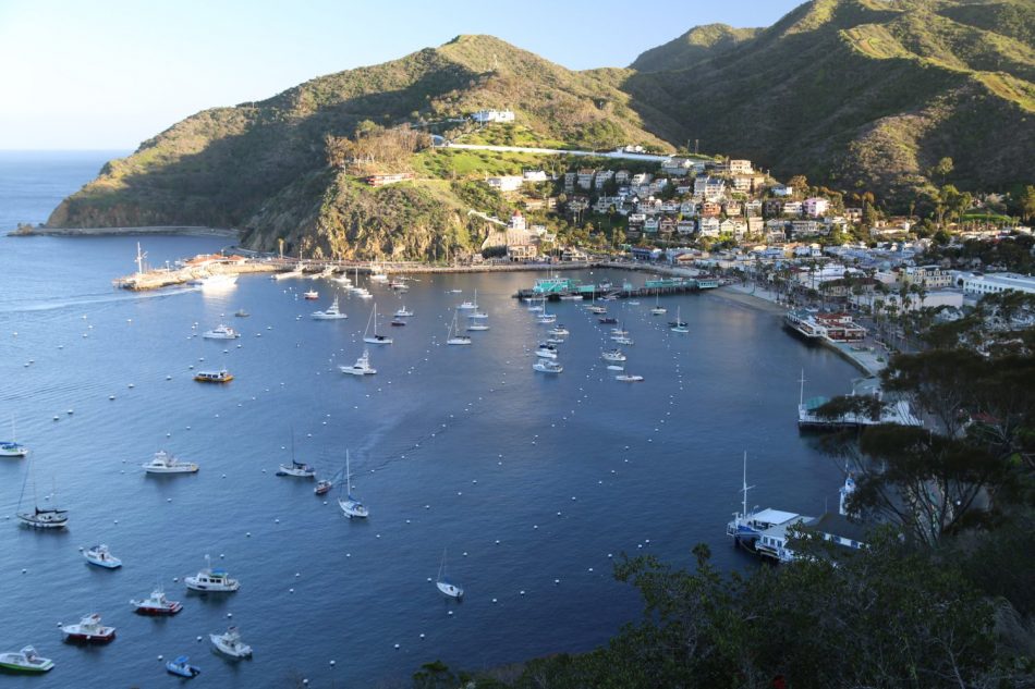 Guides - Catalina, CA - History - Dave's Travel Corner