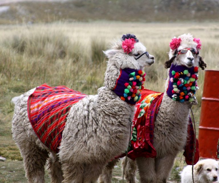 Guides - Huaraz, Peru - More Info - Dave's Travel Corner