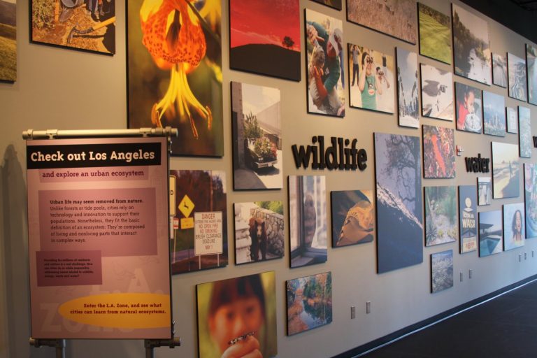 Guides - Los Angeles, CA - Exposition Park - Dave's Travel Corner