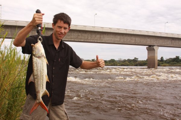 Visiting caprivi trip in Namibia - touring the Zambezi for Tiger Fish