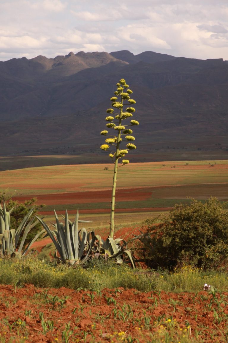 Malealea Lodge Lesotho