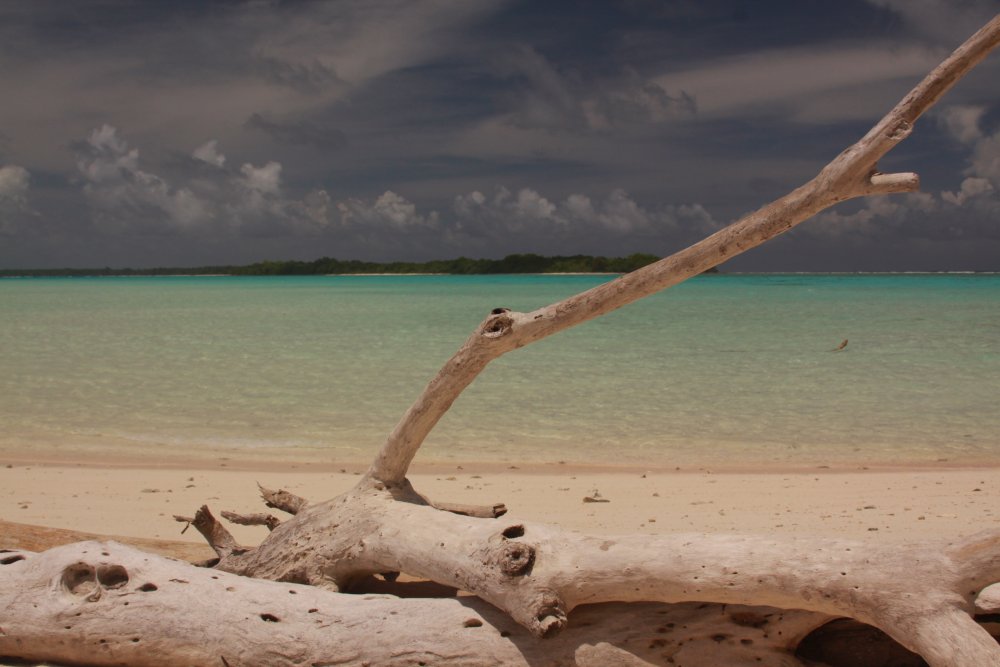 Palau Archives - Dave's Travel Corner