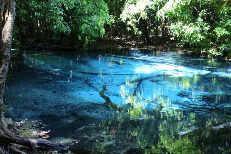 A Shot of Color in the Jungle, Emerald Pool and the Blue Pool - With a ...