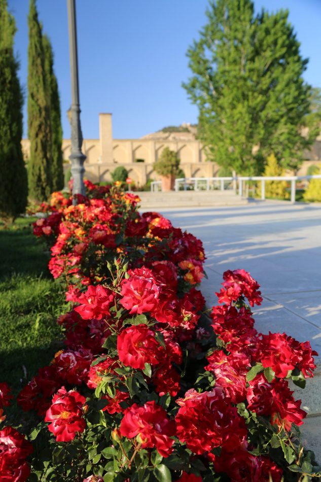 Springtime in Shiraz Is ... - Dave's Travel Corner