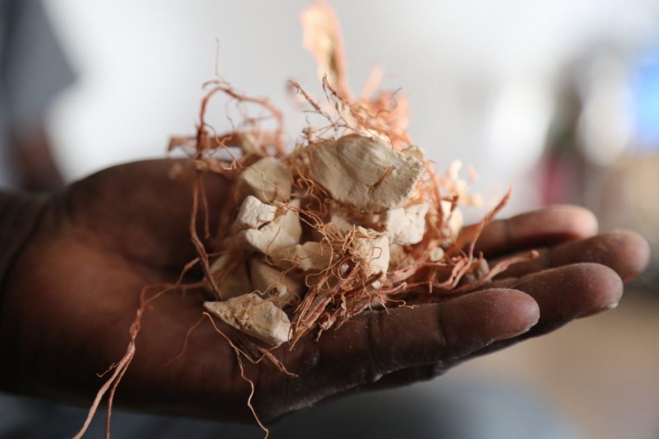 Wine Tasting in Thies Senegal - Dave's Travel Corner