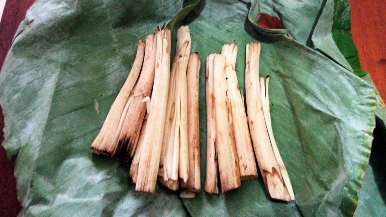 Ten Awesome Belizean Fruits and Vegetables - Dave's Travel Corner