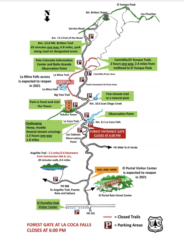 Beautiful Spots to Visit in El Yunque National Forest - Dave's Travel ...