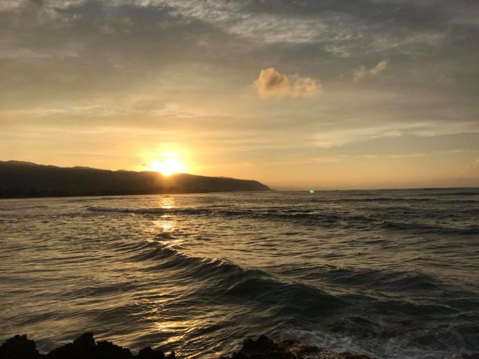 Full Guide To Haleiwa Alii Beach 2023 - Dave's Travel Corner