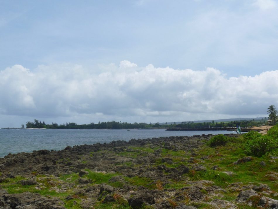 Full Guide To Haleiwa Alii Beach 2023 - Dave's Travel Corner