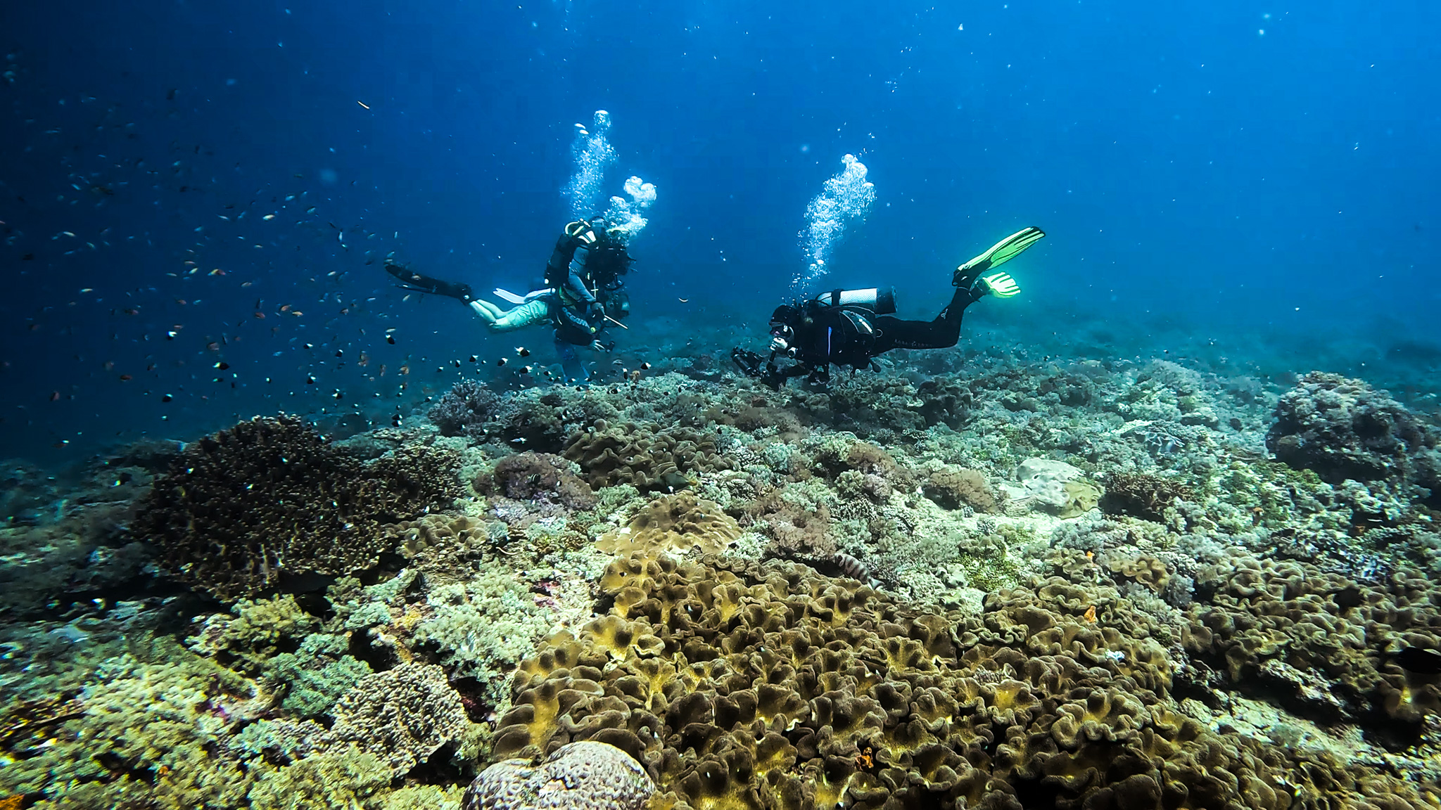 Scuba Diving in Diani Beach, Kenya - Dave's Travel Corner Scuba Diving in Diani Beach, Kenya - Dave's Travel Corner