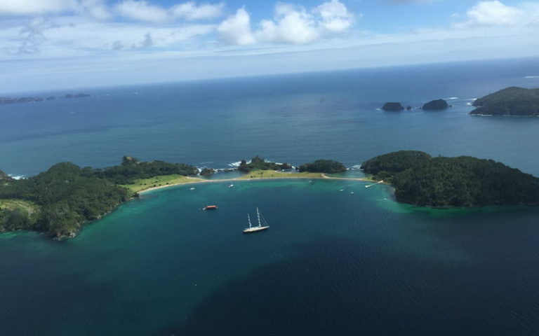 14 Best Things to Do in The Bay of Islands, New Zealand - Dave's Travel ...