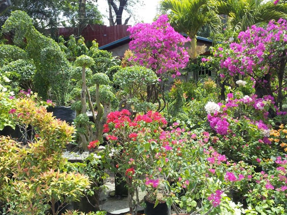 Bulacan: Heritage and History - Dave's Travel Corner