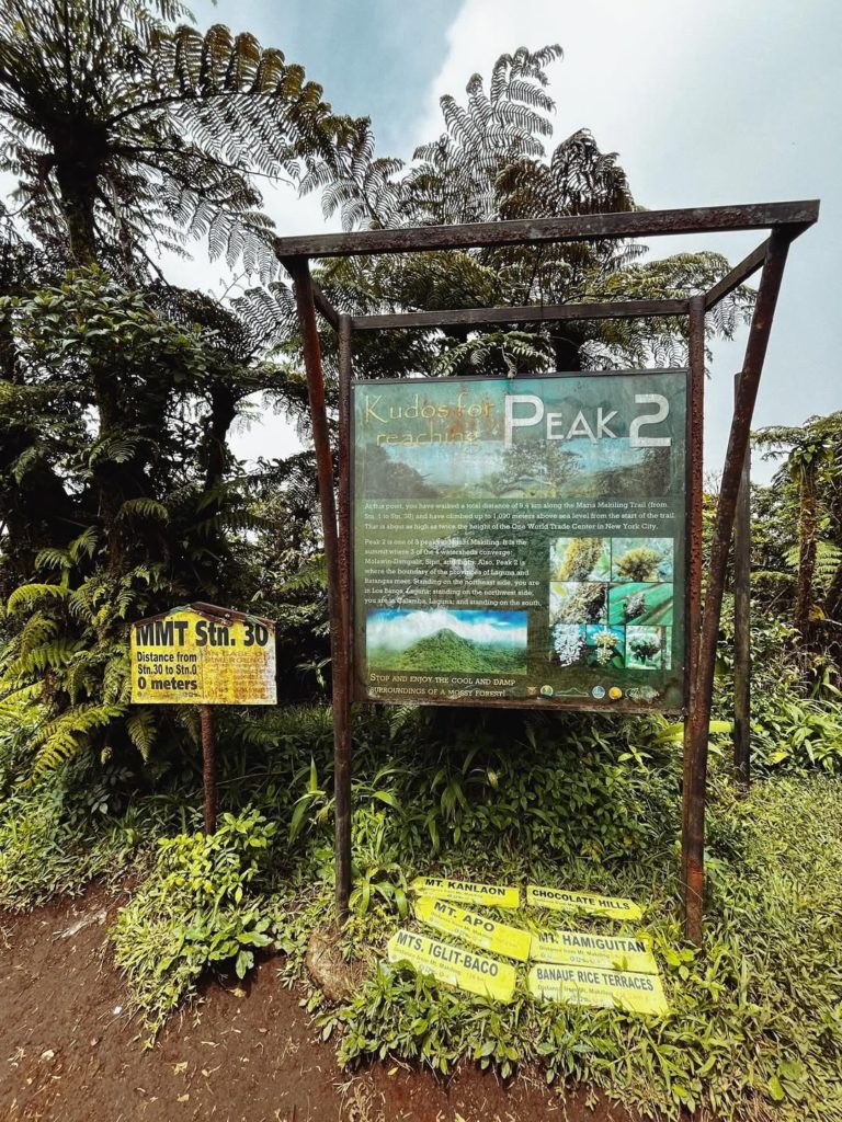 Mt. Makiling Hiking Guide 2026: The New Rules, Limatiks, and the "Paved ...