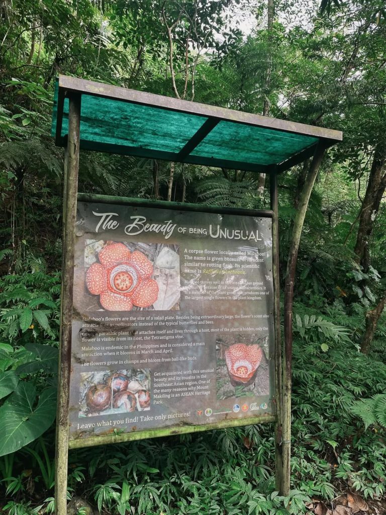 Mt. Makiling Hiking Guide 2026: The New Rules, Limatiks, and the "Paved ...